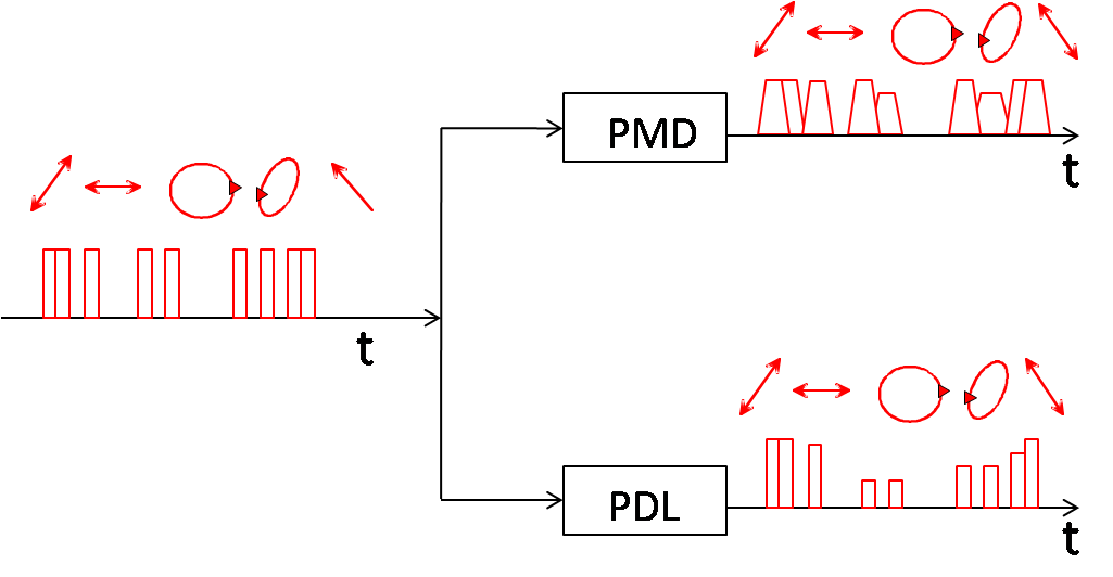 Polarization Measurement and Analysis | Luna